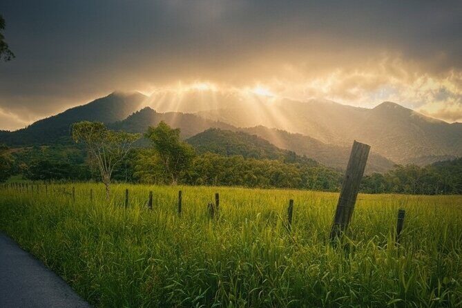 Private El Yunque Half-Day Tour with Transport - Frequently Asked Questions