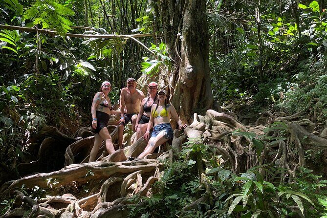 Private El Yunque Rainforest Day Tour with Transport - What Could Be Better?