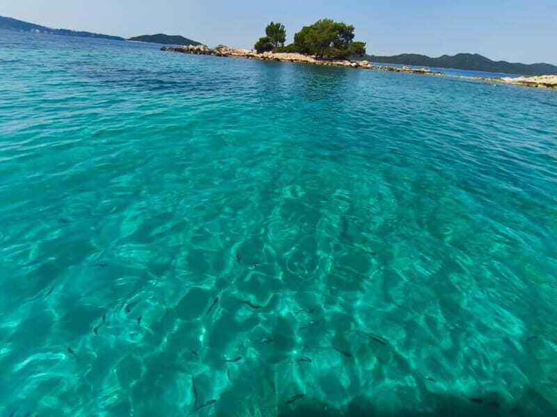Private Elafiti Boat Tour- Visit Blue Cave and beach Sunj - Key Points