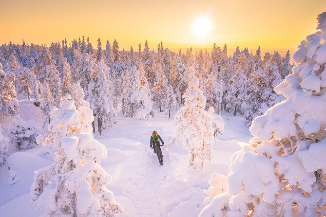 Private Electric Fat Bike Winter Tour in Rovaniemi - Inclusions and Safety Gear
