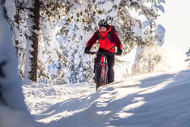 Private Electric Fat Bike Winter Tour in Rovaniemi - The Benefits of Electric Fat Biking
