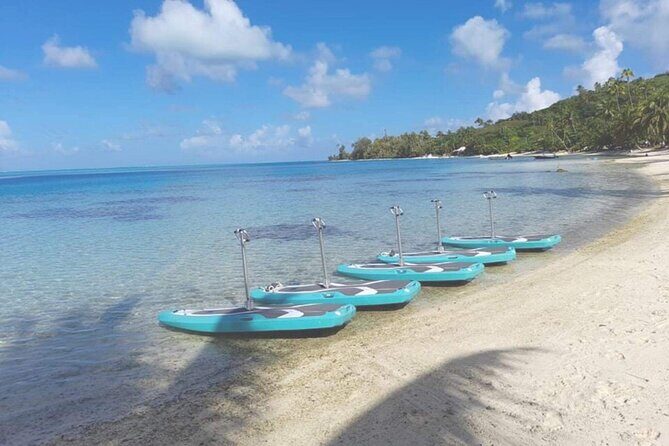 Private Electric Paddle Cruise in Bora Bora - Authentic Traveler Perspectives