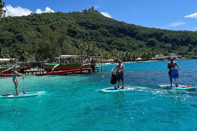 Private Electric Paddle Cruise in Bora Bora - The Sum Up