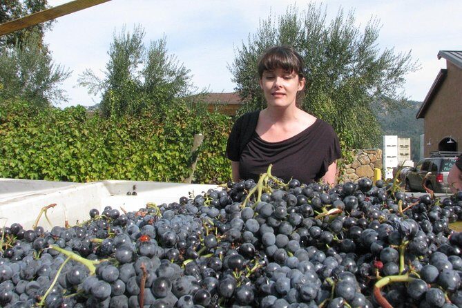 Private Elegant & Sophisticated Wine Food Pairing Experience from San Francisco - FAQs