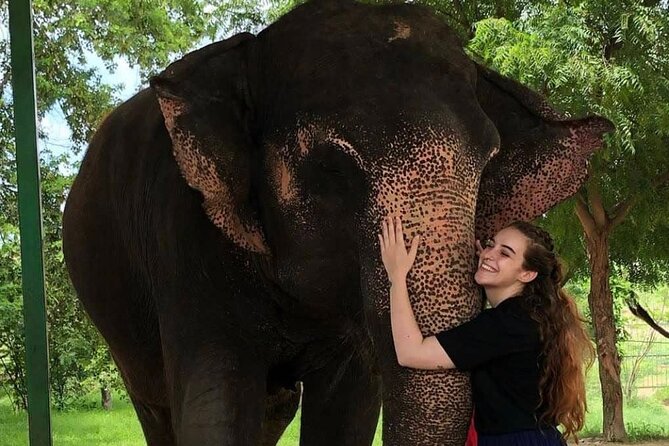 Private Elephant Sanctuary - The Experience from the Travelers’ Perspective