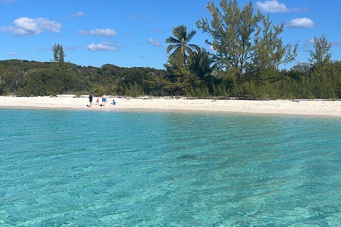 Private Eleuthera Island: Swim With Pigs, Turtles & Stingrays - An In-Depth Look at the Tour Experience