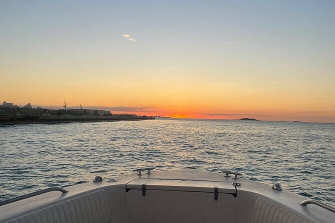 Private Eleuthera Island: Swim With Pigs, Turtles & Stingrays - Practical Tips for Booking