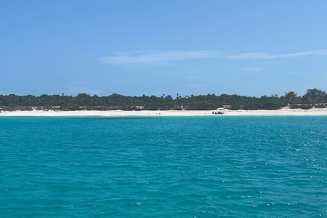 Private Eleuthera Island: Swim With Pigs, Turtles & Stingrays - Frequently Asked Questions