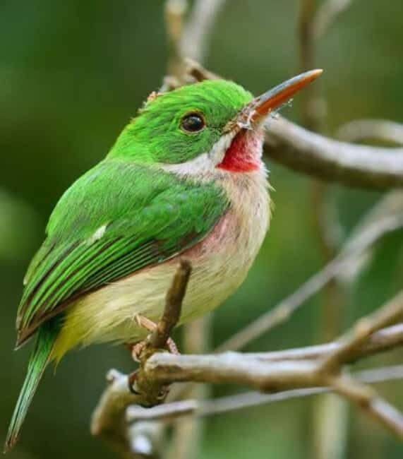 Private: Emerald Coast Mountain Escape from Punta Cana - What to Expect During Your Visit