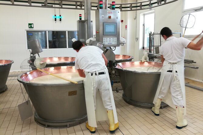 Private Emilian Food and Wine Tasting Tour in Modena - Positive Feedback From Satisfied Travelers