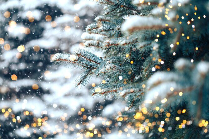 Private Enchanting Nashville Christmas Lights Tour - Practical Details to Keep in Mind