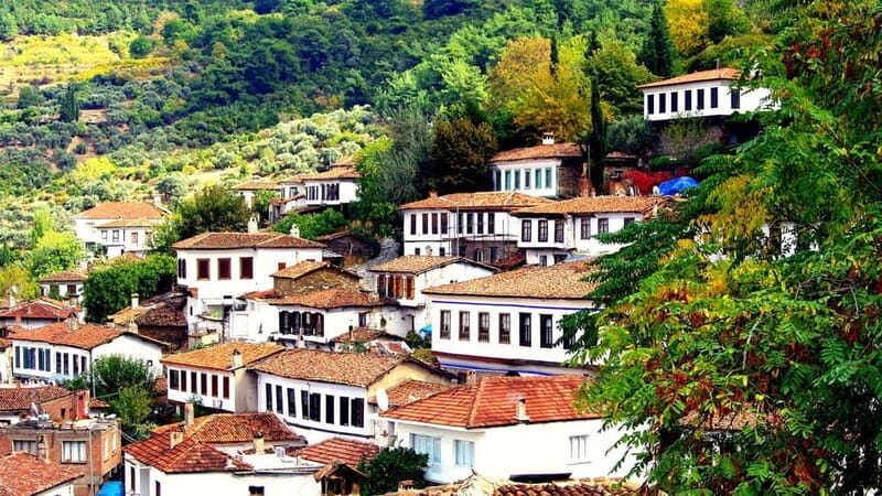 Private Ephesus and Sirince Village Tour Cruiser Only - Timing and Pacing