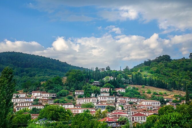 Private Ephesus Shore Excursion Tour From Kusadasi With Guide - Booking Information