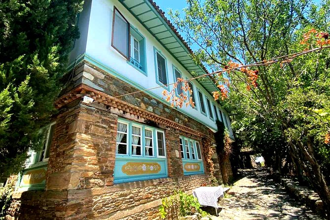 Private Ephesus Tour & Cooking Class in Village - Testimonials and Customer Reviews