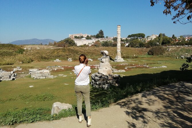 Private Ephesus Tour from Bodrum - Who Should Consider This Tour