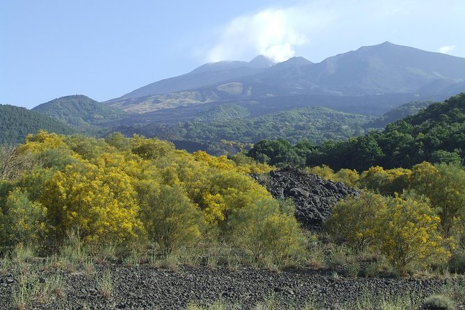 Private Etna Tour From Messina Cruise Terminal+ Lunch at Winery - Traveler Reviews and Recommendations