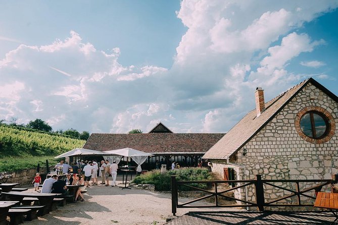 Private Etyek Wine tour with dinner including a Budapest Danube Evening Cruise - Final Thoughts: Who Should Consider This Tour?