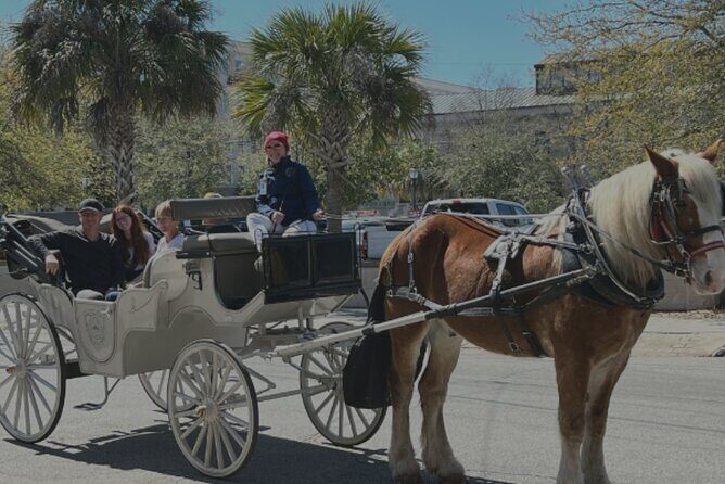 Private Evening Carriage Tour Charleston - Palmetto Carriage - How the Pricing Reflects Value