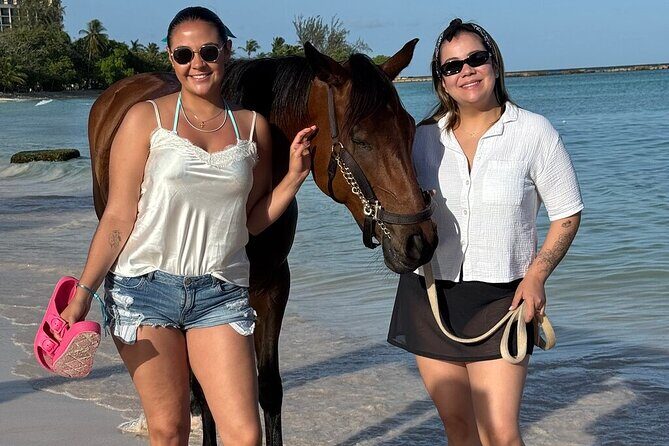 Private Evening Horse Ride on the Beach - A Closer Look at the Private Horse Ride