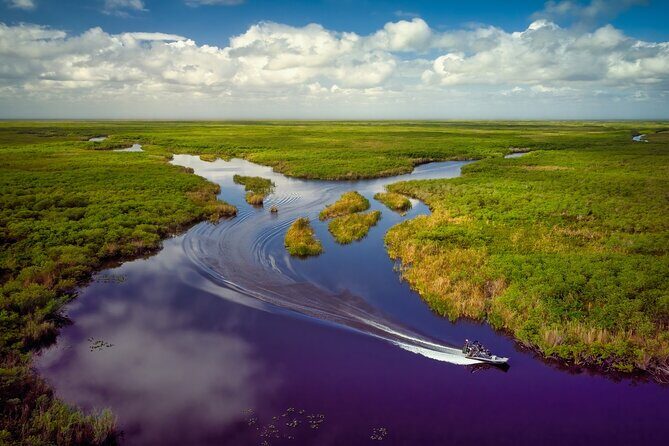 Private Everglades Eco Adventure: Airboats, Gators & Wild Florida - Authentic Experiences and Real Feedback