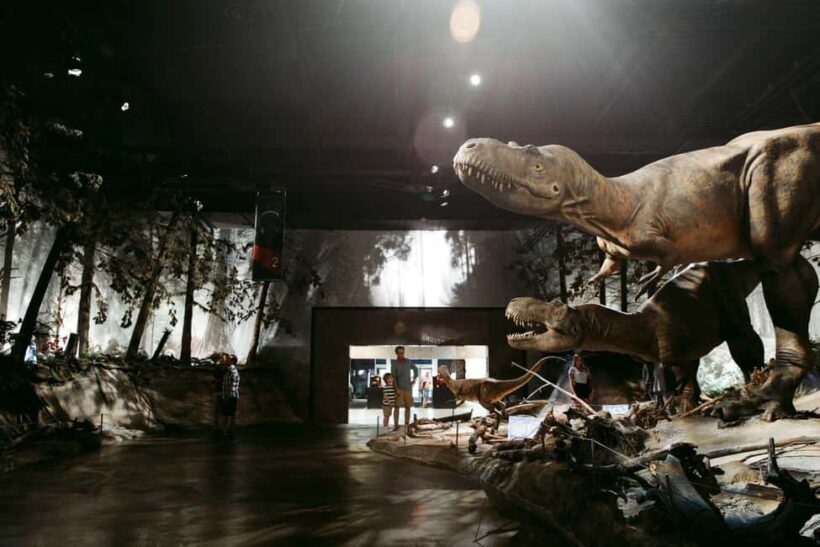 Private Exclusive Drumheller Tour with Royal Tyrrell Museum - Key Points