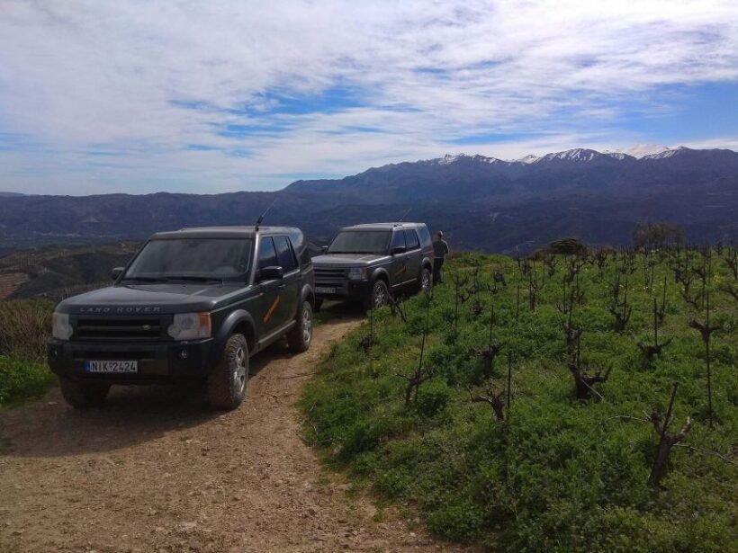Private Exclusive Manousakis Winery and Vineyard Tour - Introducing the Private Exclusive Manousakis Winery and Vineyard Tour