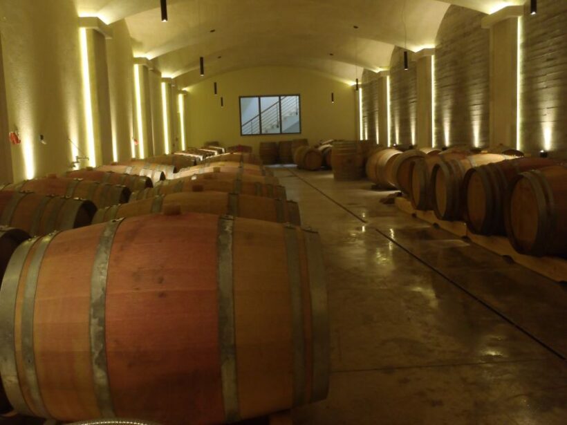 Private Exclusive Manousakis Winery and Vineyard Tour - Practical Details and Logistics