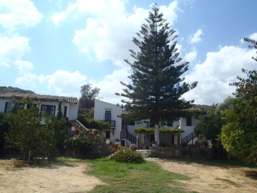 Private Exclusive Manousakis Winery and Vineyard Tour - Authentic Experiences and What Travelers Say