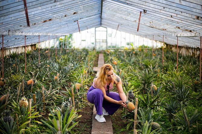 Private Exclusive Tour - All of São Miguel island in 2 days - FAQ