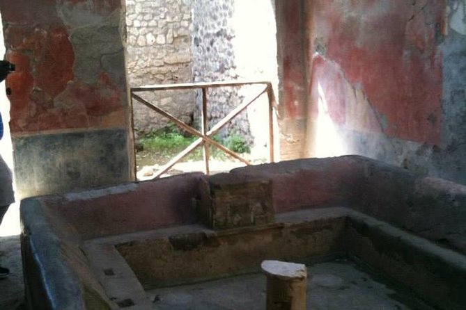 Private Exclusive Tour of Pompeii ruins & wine tastings - A Detailed Look at the Experience