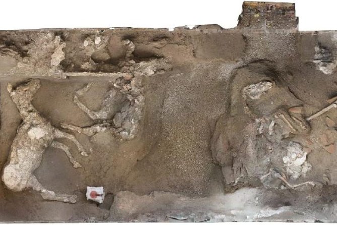 Private Exclusive VIP Tour of Positano, Pompeii & Mount Vesuvius - FAQ