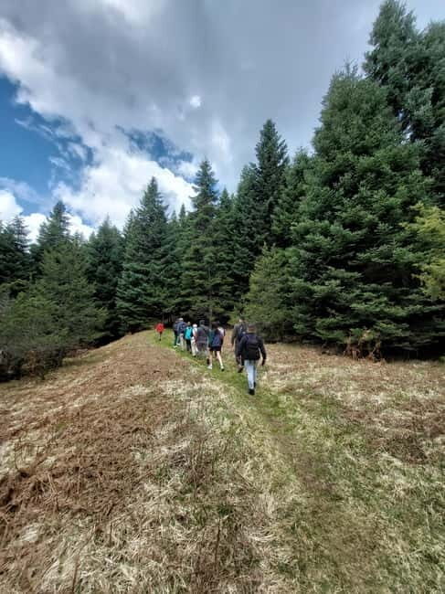 Private Excursion 2 Days: Athens - Nafpaktos & Mountainous Nafpaktia - What Could Be Better?