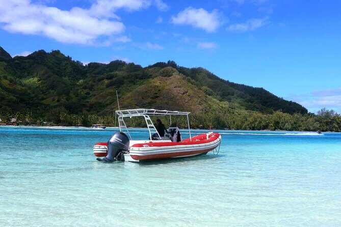 Private excursion Half day Moorea Discovery of the lagoon - An In-Depth Look at the Moorea Lagoon Private Snorkeling Tour