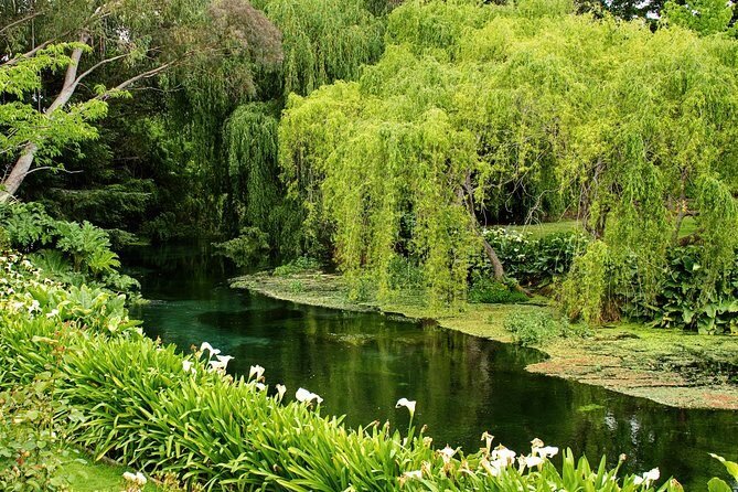 Private Excursion: Scenic and Seascape Delights from Picton - An In-Depth Look at the Tour Experience