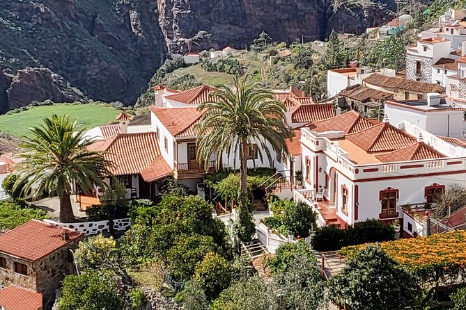 Private Excursion the Mountains of Gran Canaria for 2 to 4 People - Highlights of the Tour Experience