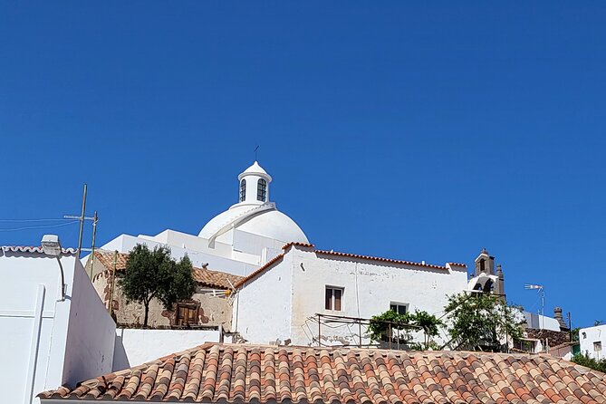 Private Excursion the Mountains of Gran Canaria for 2 to 4 People - Expert Guide Fabien