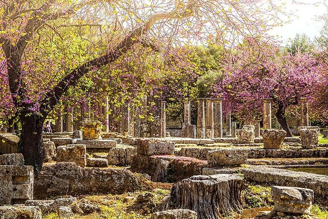 Private Excursion to Ancient Olympia - Bee Farm & Winery - Inclusions and Costs
