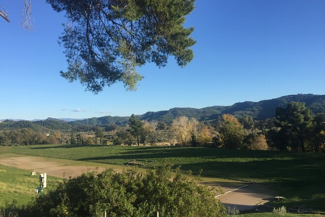 Private Excursion to Ancient Olympia - Bee Farm & Winery - Discovering the Bee Farm