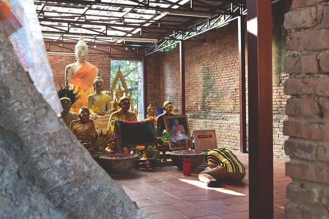 Private Excursion to Ayutthaya, World Heritage site and Ang-Thong Discovery - Final Thoughts