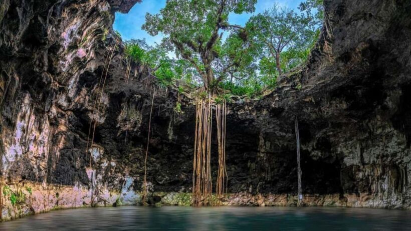 Private Excursion to Cenote Santa Barbara Homun with Transportation - Discover the Natural Wonder of Cenote Santa Barbara in Homun