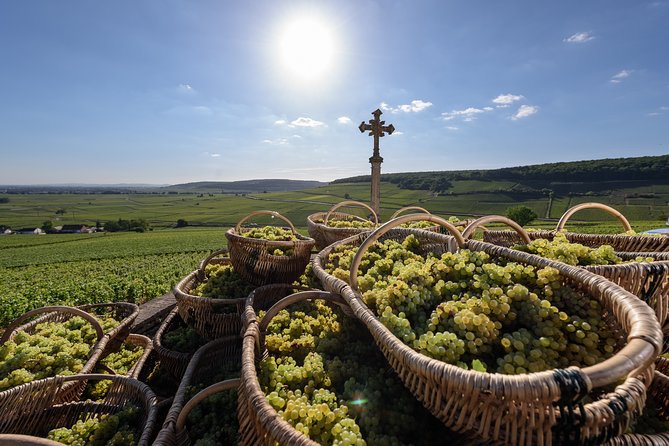 Private Excursion to Côte De Beaune and Côte De Nuits (Full Day) - Key Points