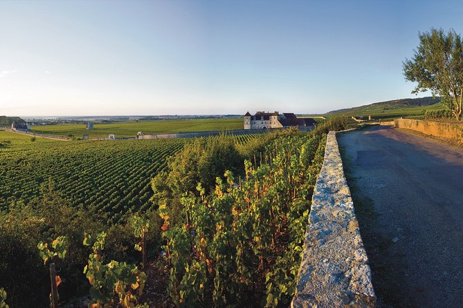 Private Excursion to Côte De Beaune and Côte De Nuits (Full Day) - Itinerary and Highlights