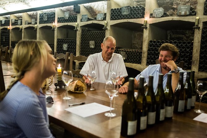 Private Excursion to Côte De Beaune and Côte De Nuits (Full Day) - Accessibility Features