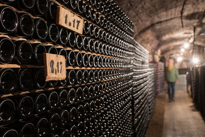 Private Excursion to Côte De Beaune and Côte De Nuits (Full Day) - Booking Your Private Excursion