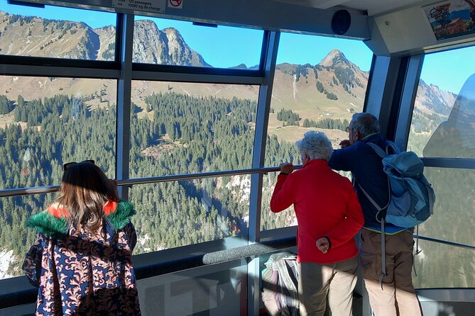 Private Excursion to Glacier 3000 - Glacier 3000: A Mountain Adventure