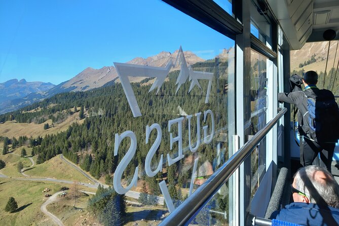 Private Excursion to Glacier 3000 - What Travelers Say