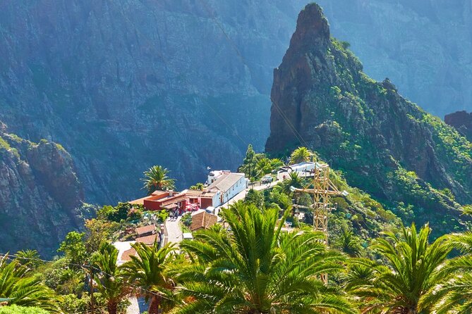 Private Excursion to Masca, Garachico, Icod in Tenerife - Customer Feedback and Experiences