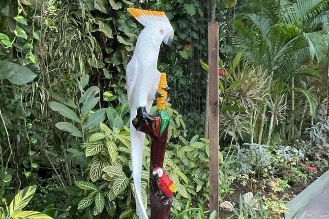 Private Excursion to Mystic Mountain and Dolphin Cove - Final Thoughts