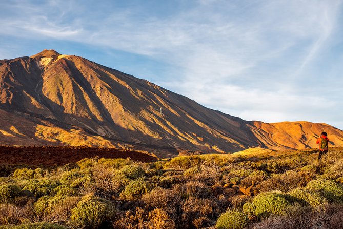 Private Excursion to Teide National Park - Pricing and Booking