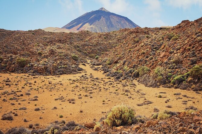 Private Excursion to Teide National Park - Guide Expertise